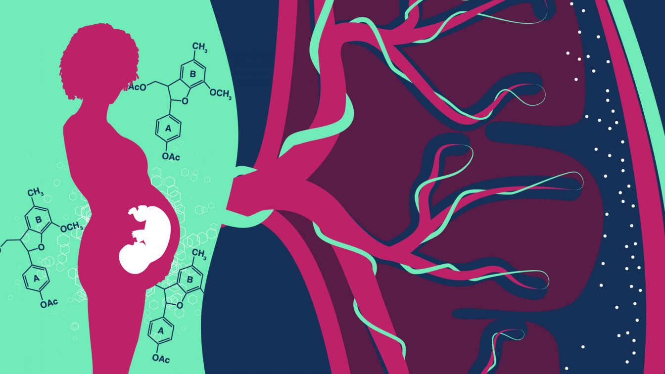 Animation and Motion Graphics | MOREVER